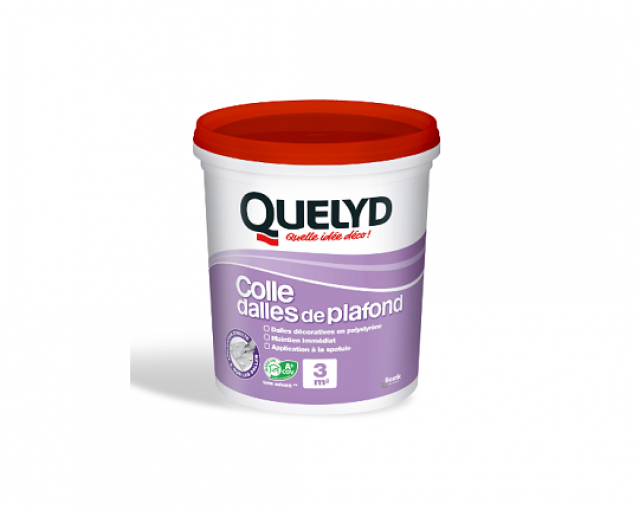 Des revêtements au plafond | Colles Quelyd